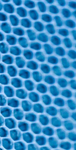 Freudenberg Apollo Filtration Technologies - One of the leading ...